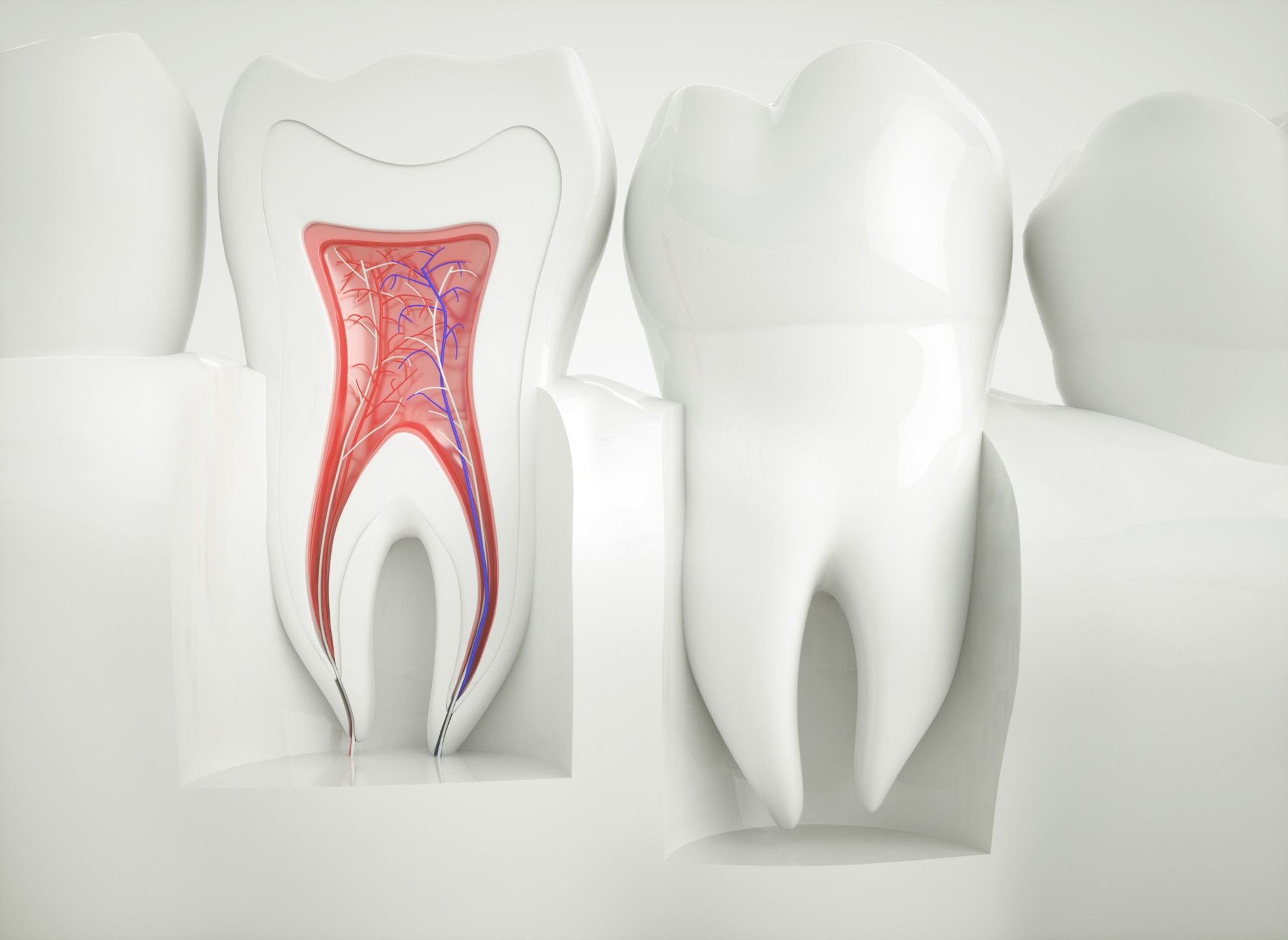 Pulp/Nerve Treatment - Heights Pediatric Dentistry - Tampa, FL